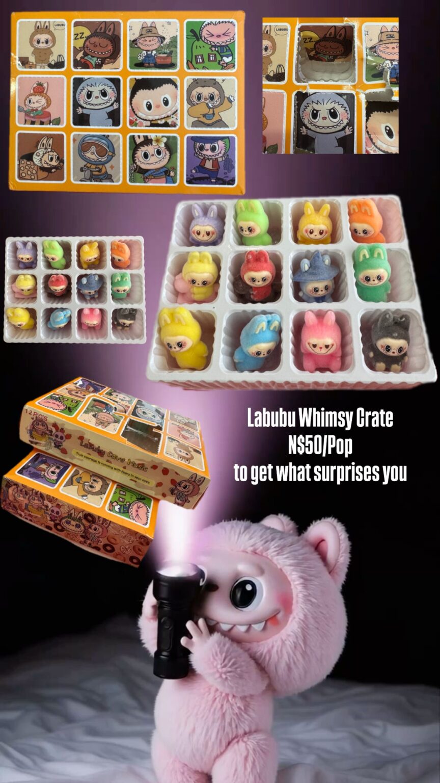 Labubu Whimsy Crate N$50/Pop to get what surprises you - U R BOX STUDIO